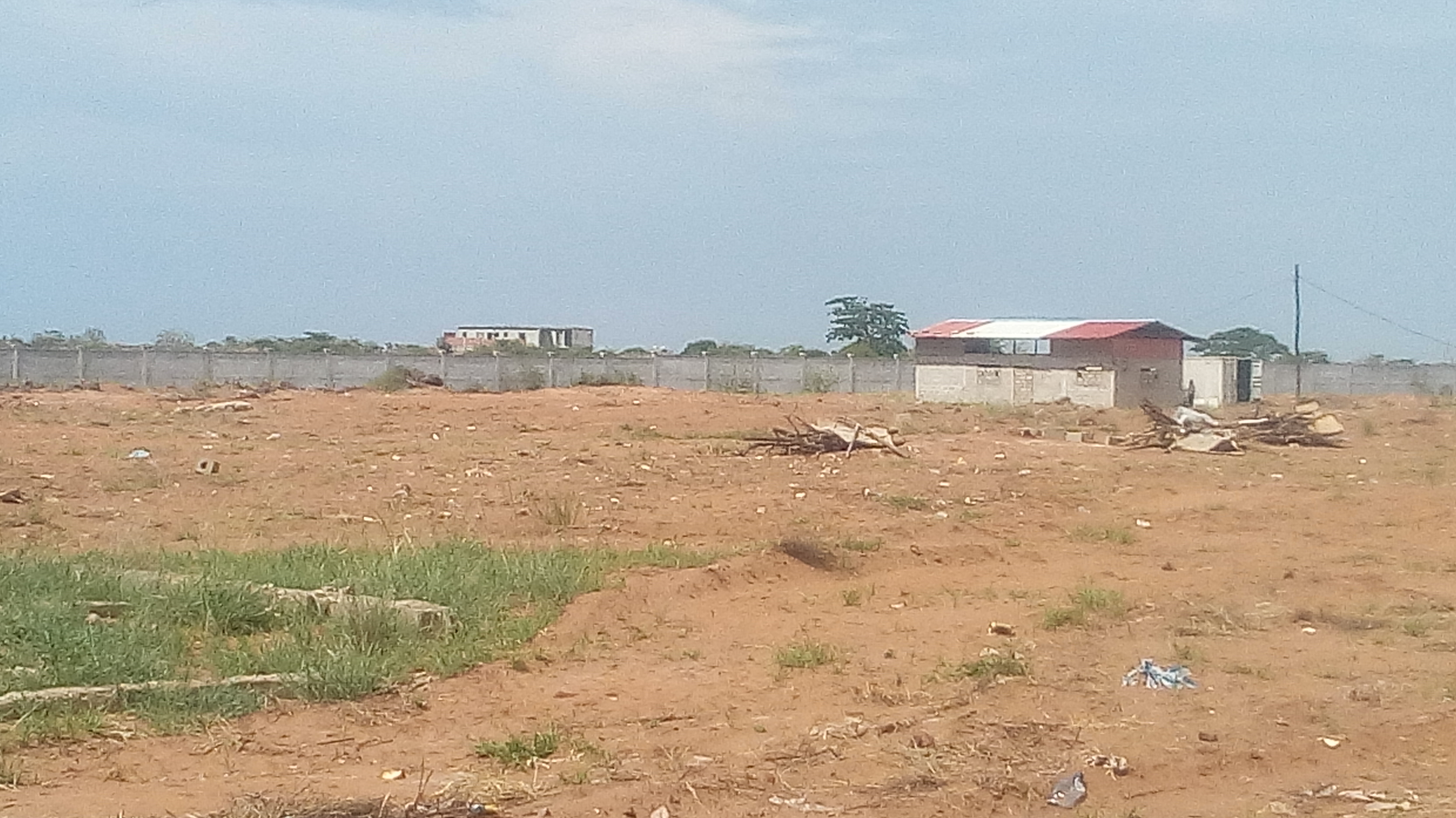 Deputado “Dino Matross” acusado de liderar grupo de “venda ilegal” de ...