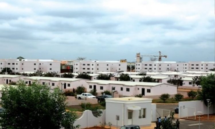 Dez a 15 casas são comercializadas ilegalmente todos os dias na ...