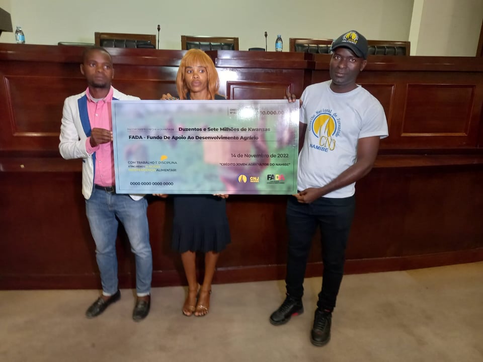 Parceria entre CNJ e FADA resulta em 207 milhões Kwanzas de crédito aos ...