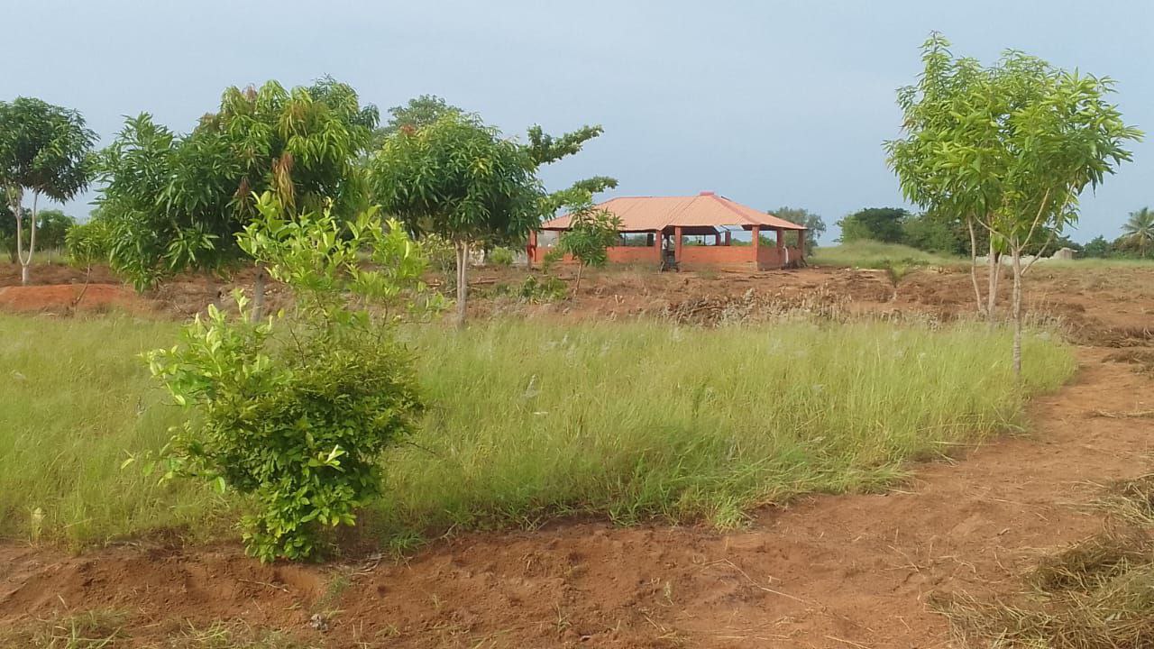 Agentes da PIR e Comandos das FAA invadem fazenda em Viana e retiram ...