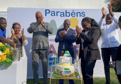 Moçambique: Tribunal Aduaneiro de Sofala autoriza entrega de 111 ...